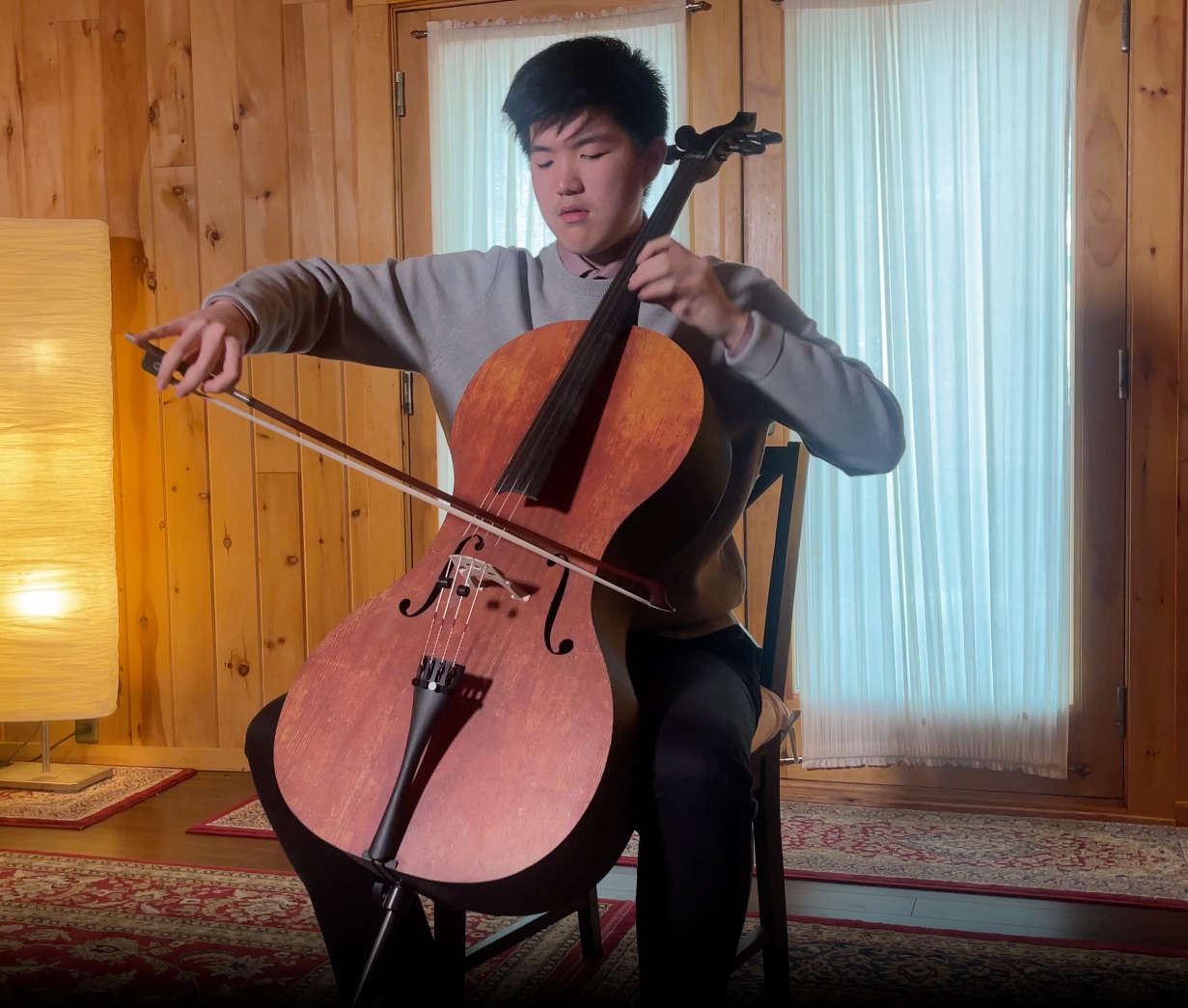 All Painted Cellos TOP or BACK – Forte3D